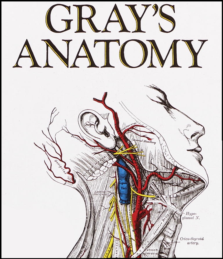 Retro Talk: A Tribute to Gray’s Anatomy – Pens and Junk